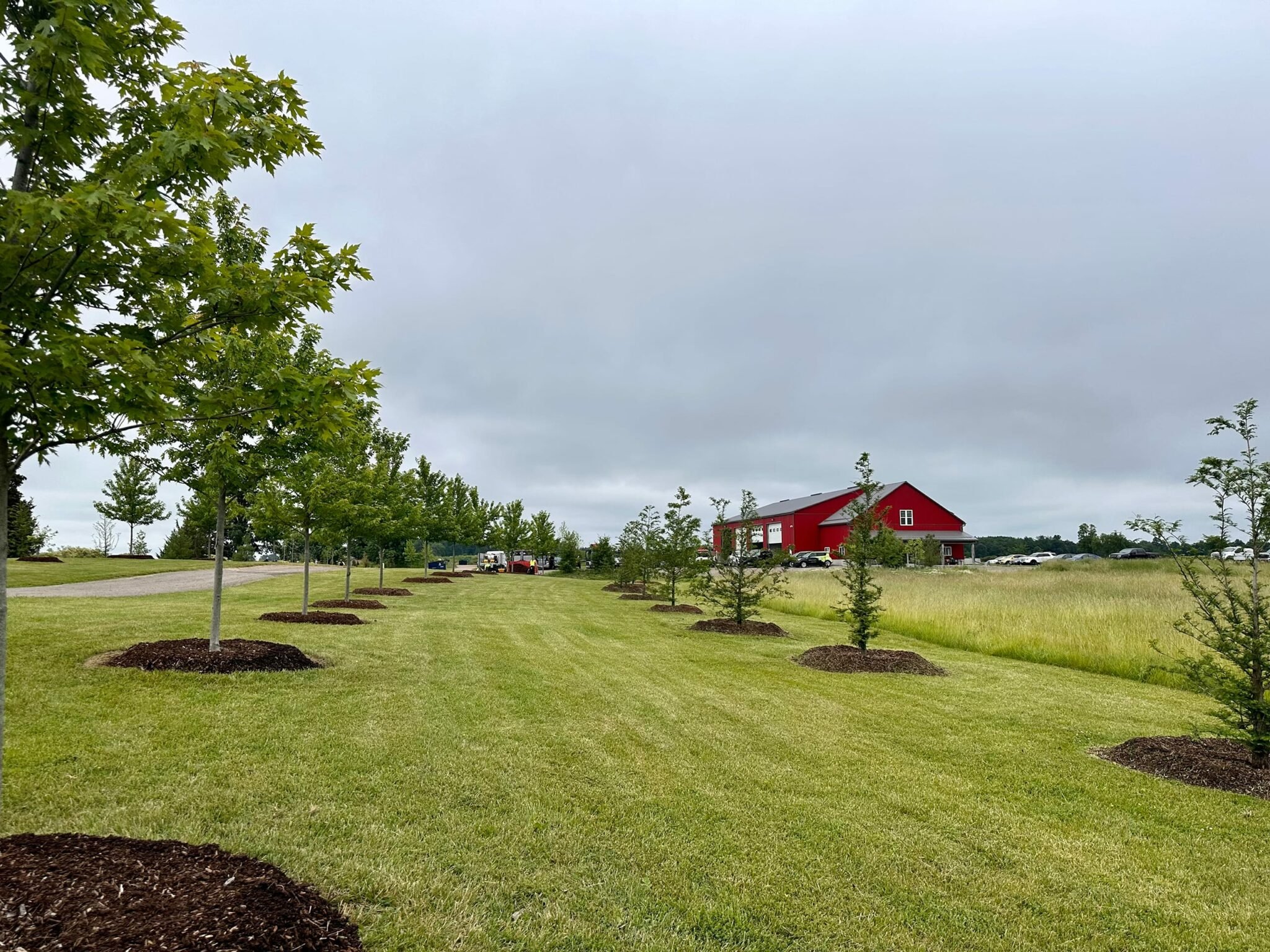 Compost tea - Arborwood Tree Service