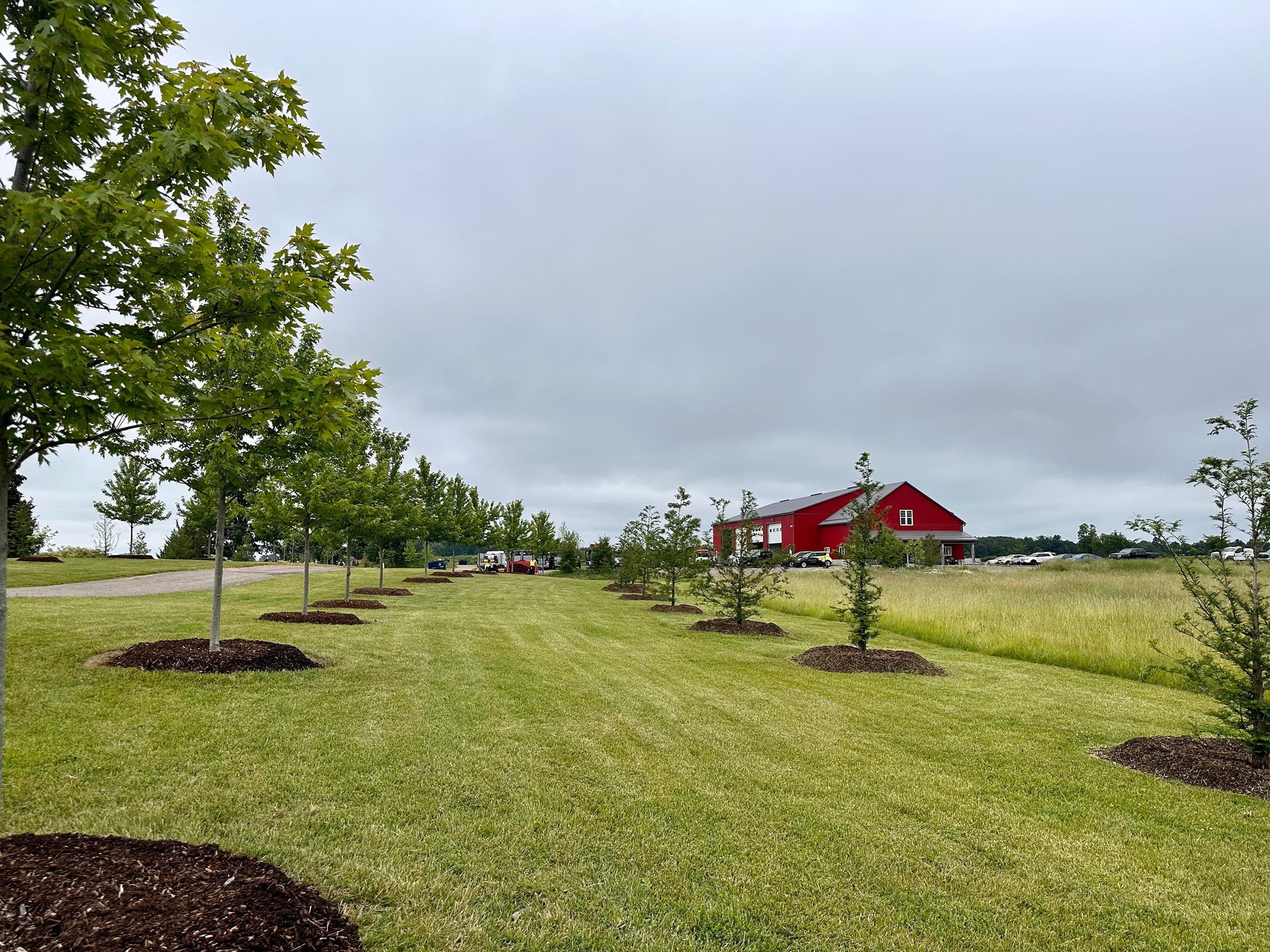 Compost tea - Arborwood Tree Service