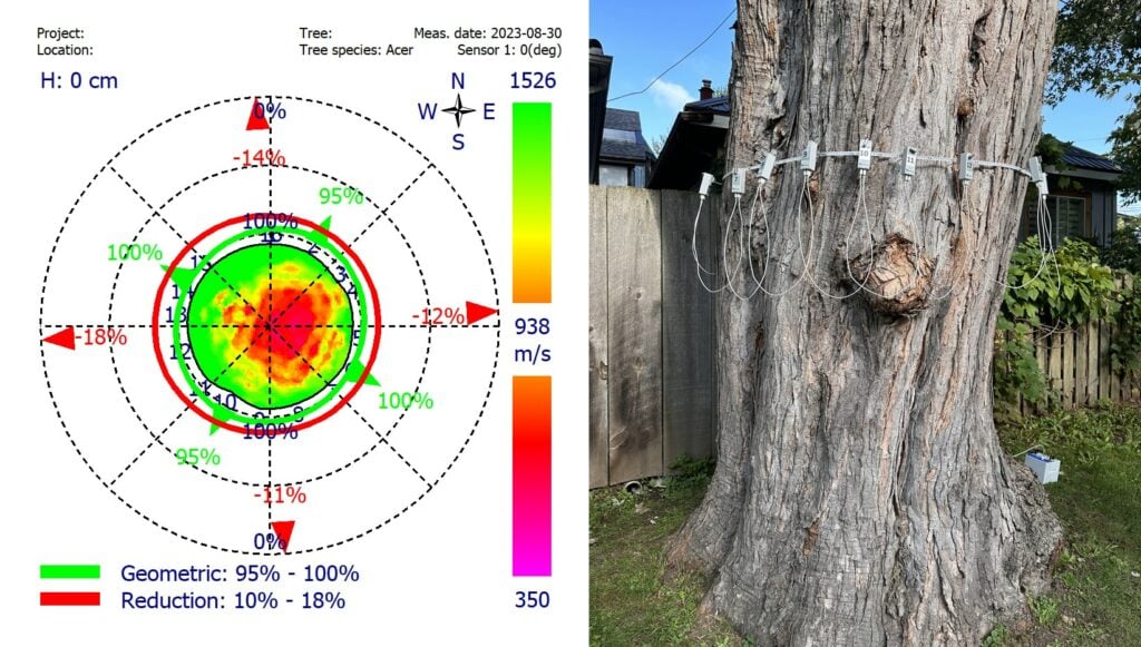 Arborist Consulting & Reporting - Arborwood Tree Service