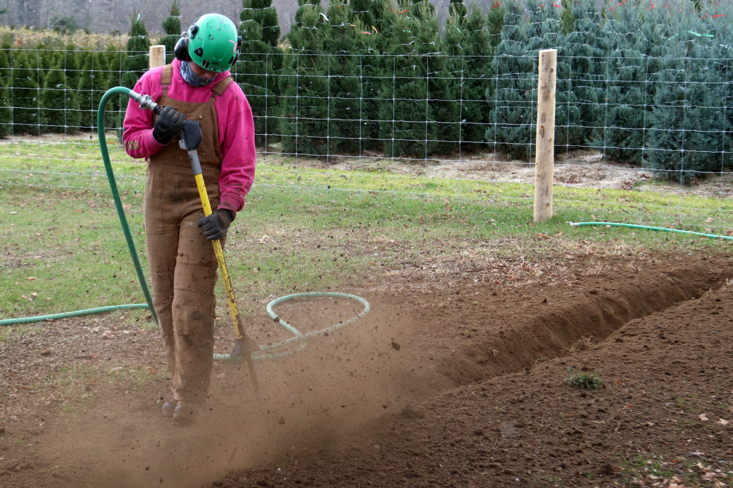 Air Spading - Arborwood Tree Service