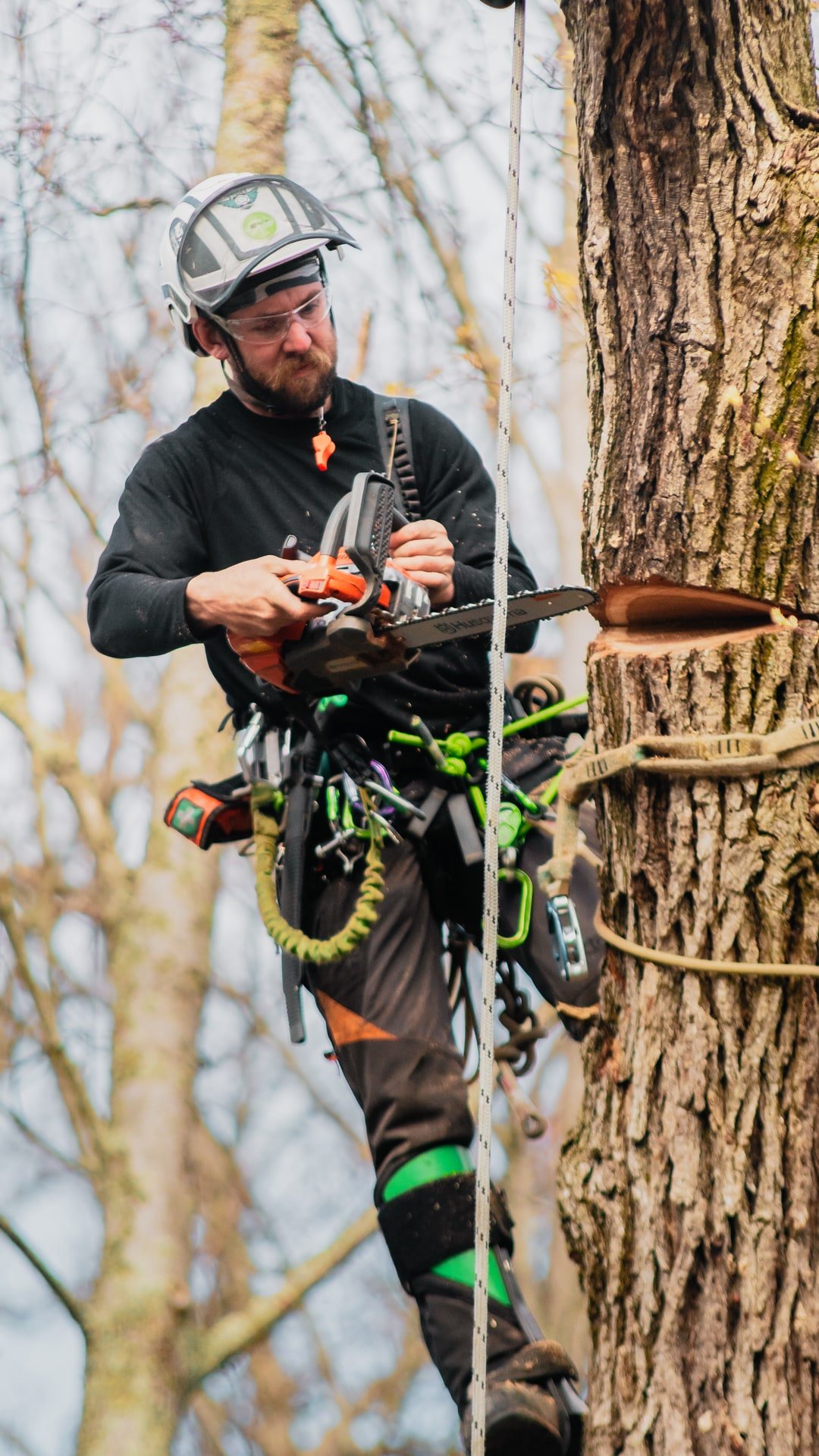 Emergency Response - Arborwood Tree Service