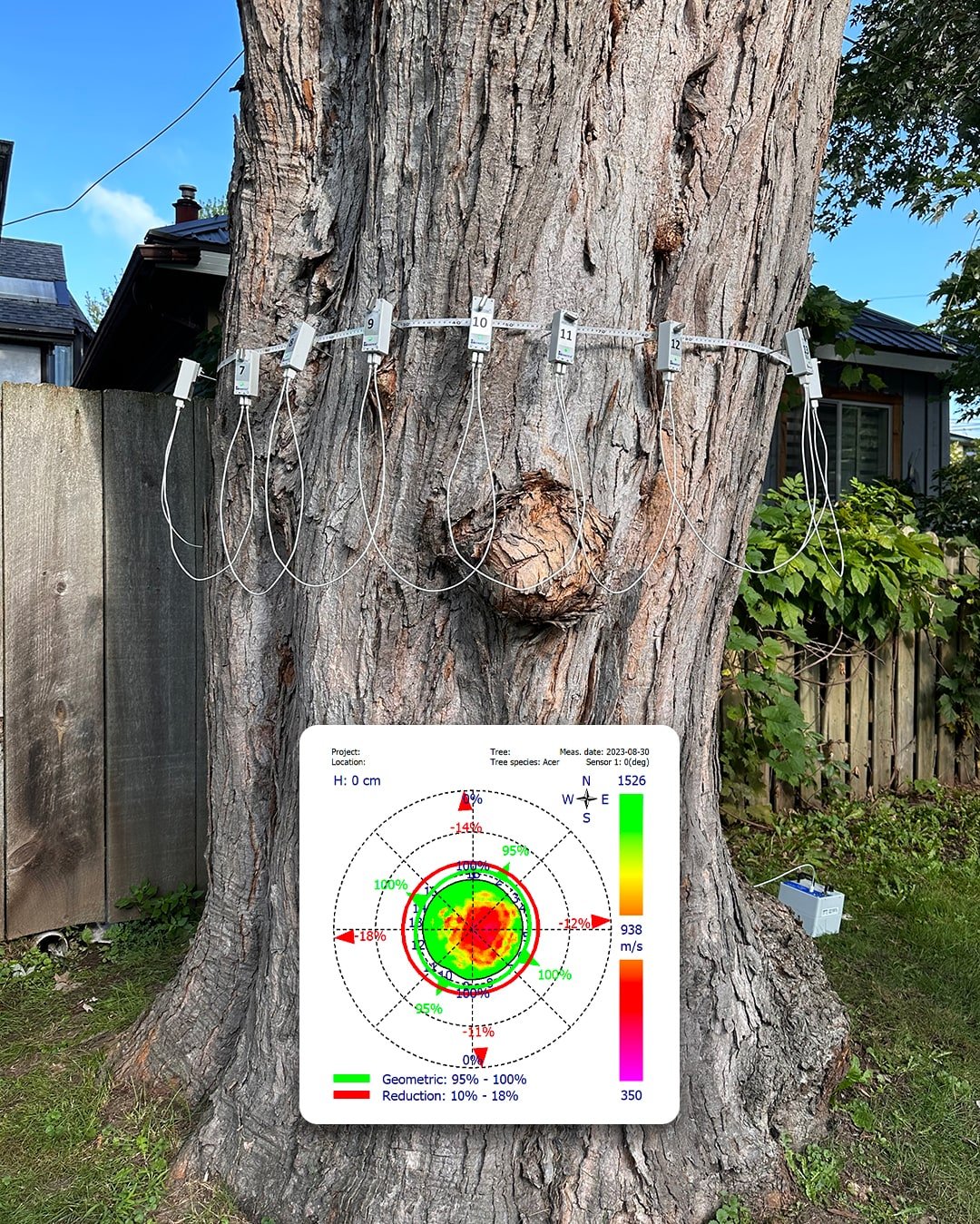 Arborist Consulting & Reporting - Arborwood Tree Service