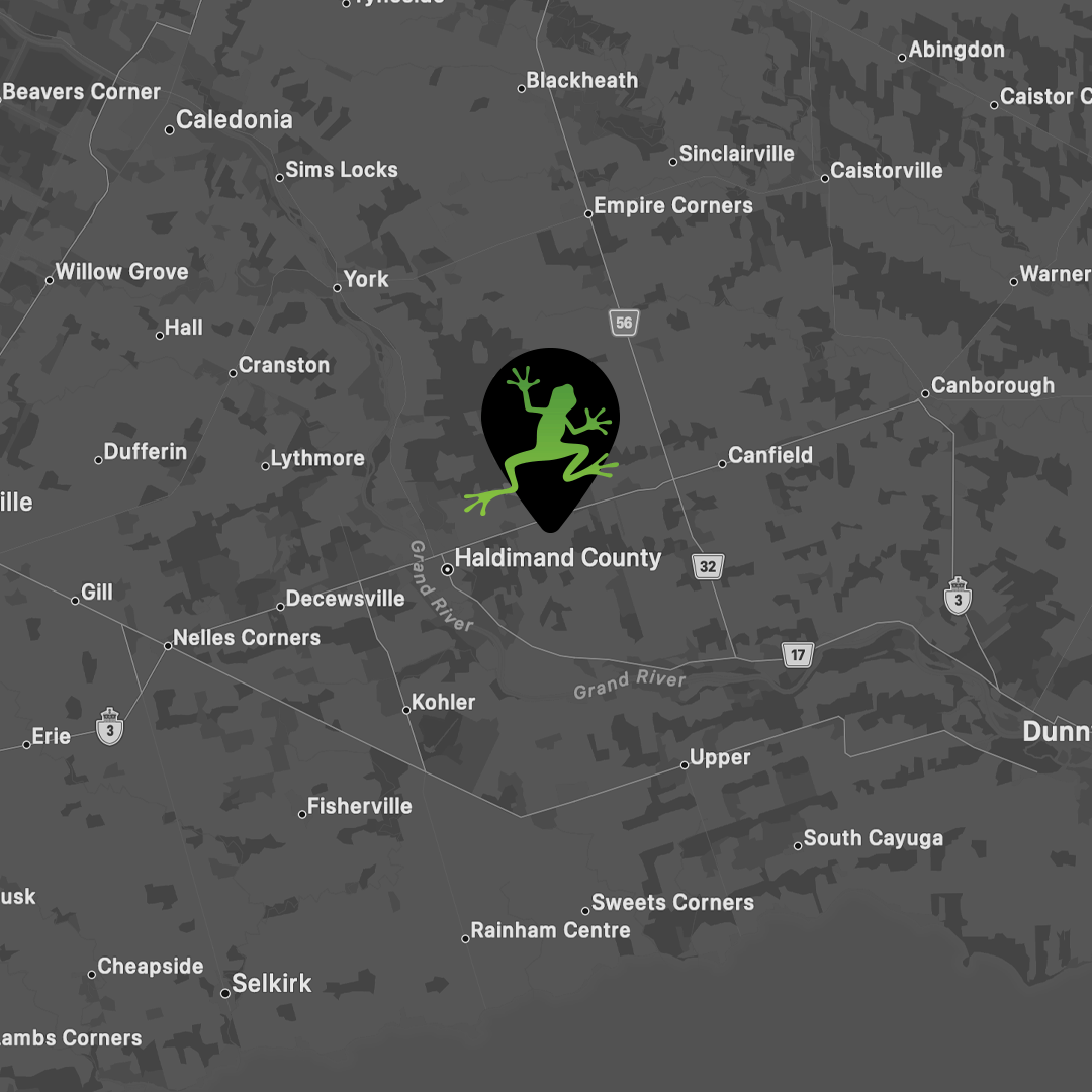 Haldimand County’s Trusted Arborists - Arborwood Tree Service