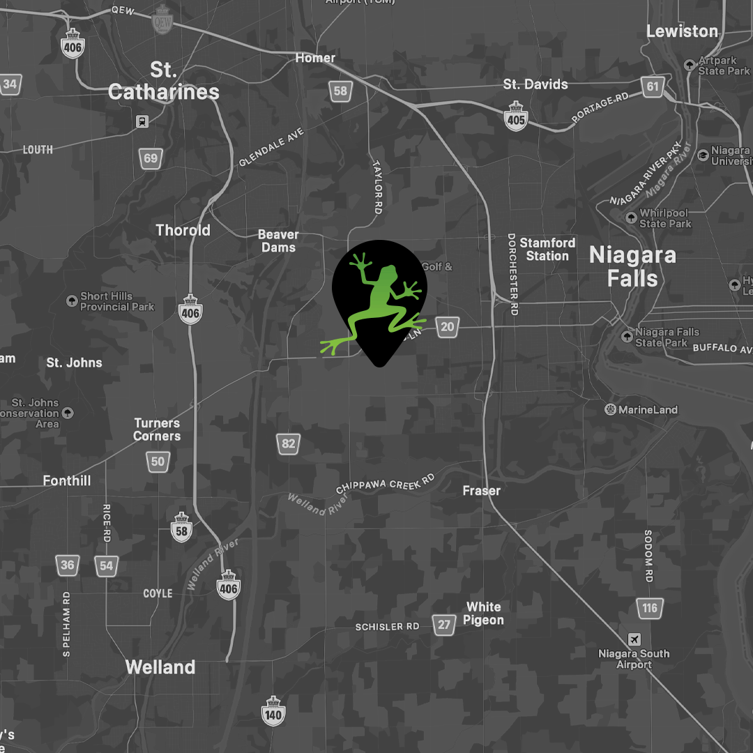 Niagara Region Neighbourhood Tree Experts - Arborwood Tree Service